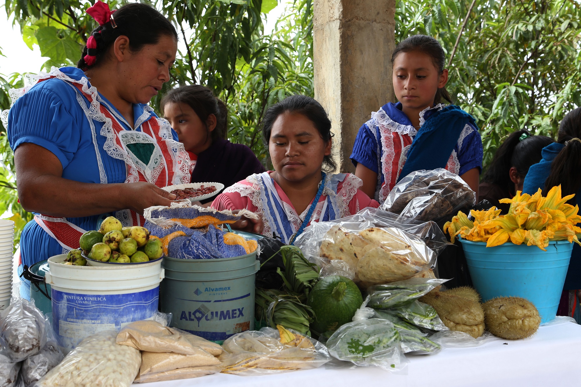 México: Celebramos el Día Internacional de la Soberanía Alimentaria y contra las Corporaciones ...