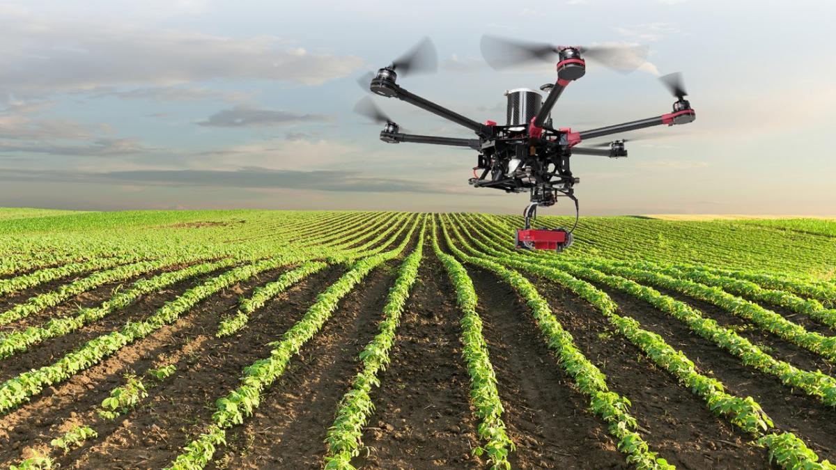 AgTech en Argentina: agricultura y tecnología digital al servicio de ...
