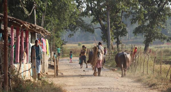¡Las comunidades de los bosques de la India necesitan tu apoyo urgente ...