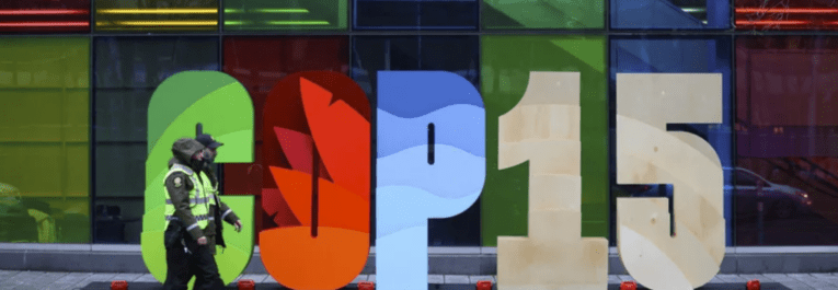 COP 15: Declaración del CIP para incluir la UNDROP y los derechos ...