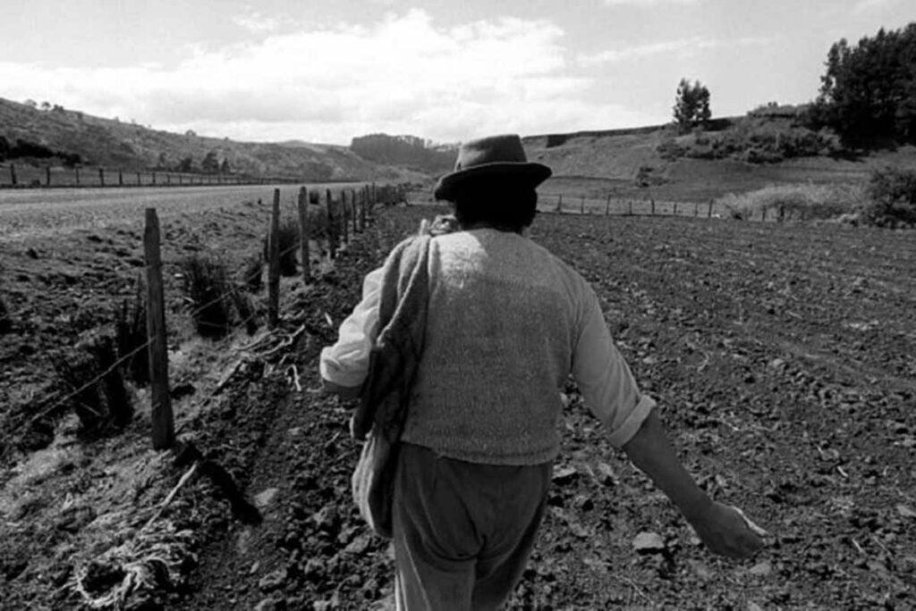 A 50 años del golpe contra Allende y la reforma agraria en Chile ...