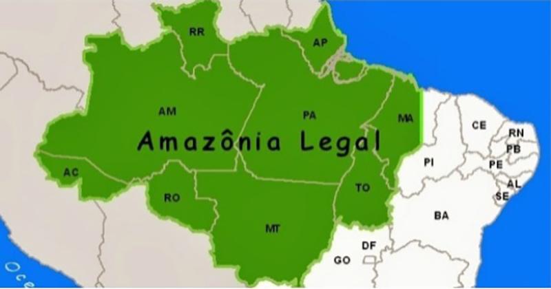 Agricultura, pecuária e garimpos: as causas do desmatamento na Amazônia ...