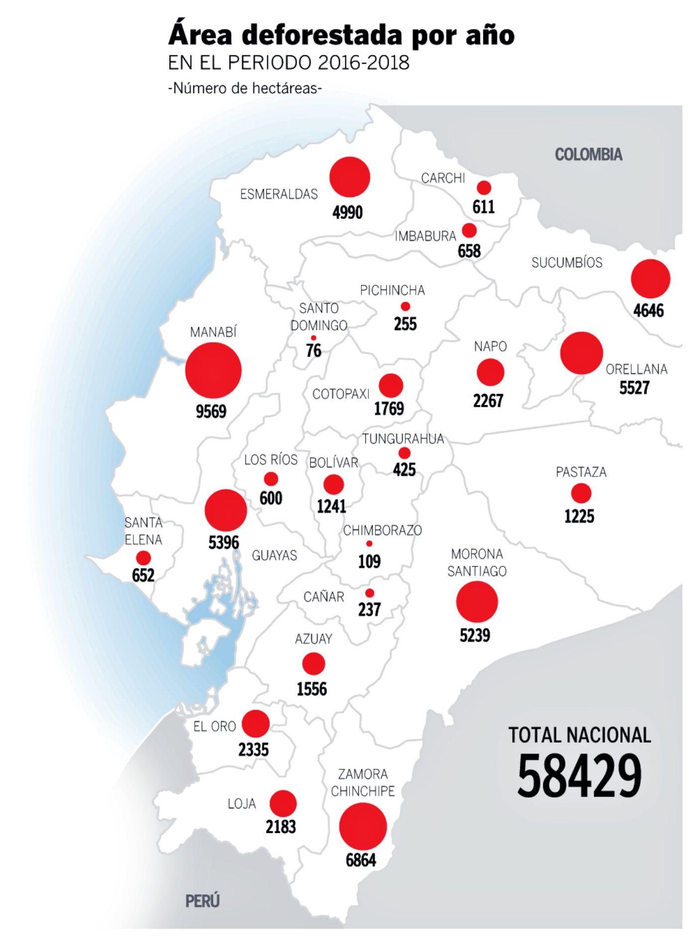 Ecuador es el país con la mayor tasa de deforestación de Latinoamérica ...