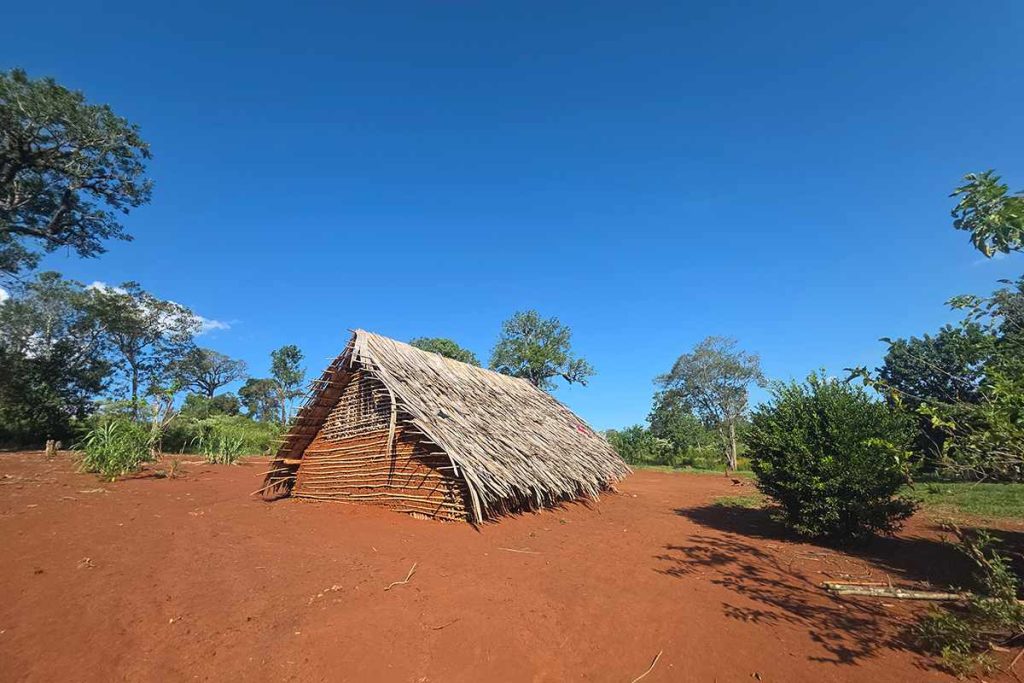 El Pueblo Mbya Guaraní cuida la selva, preserva su cultura y construye ...