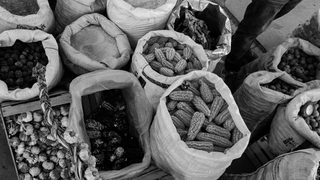 Red Puna: “Poner en el centro nuestra propia vida” | Biodiversidad en ...