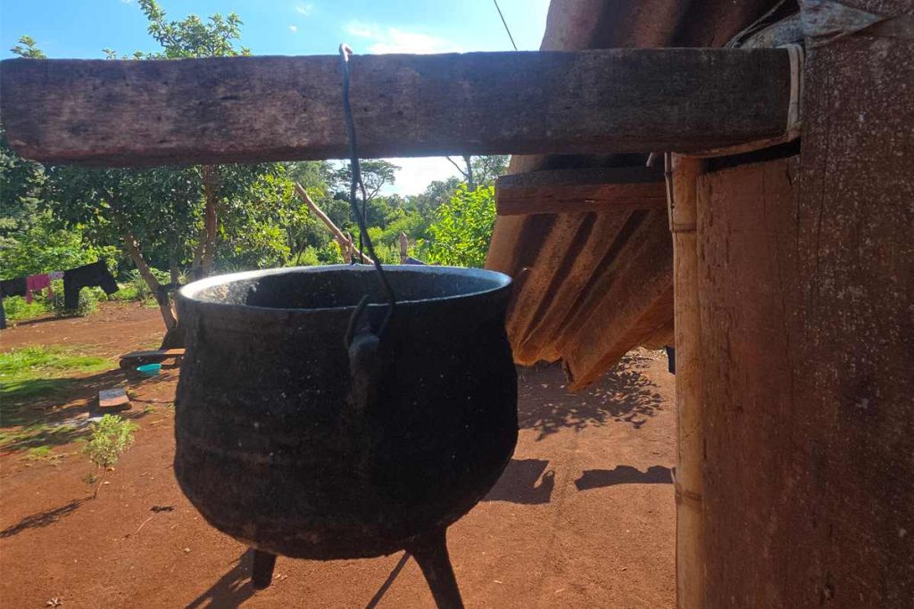 El Pueblo Mbya Guaraní cuida la selva, preserva su cultura y construye ...