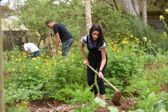 Tierra, lucha de clases y soberanía alimentaria. Debate Agroecológico ...