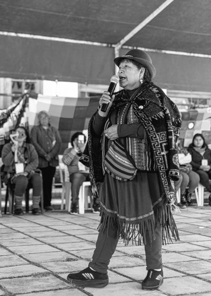Basta de terricidio, basta de chineo. Tercer Parlamento Plurinacional ...