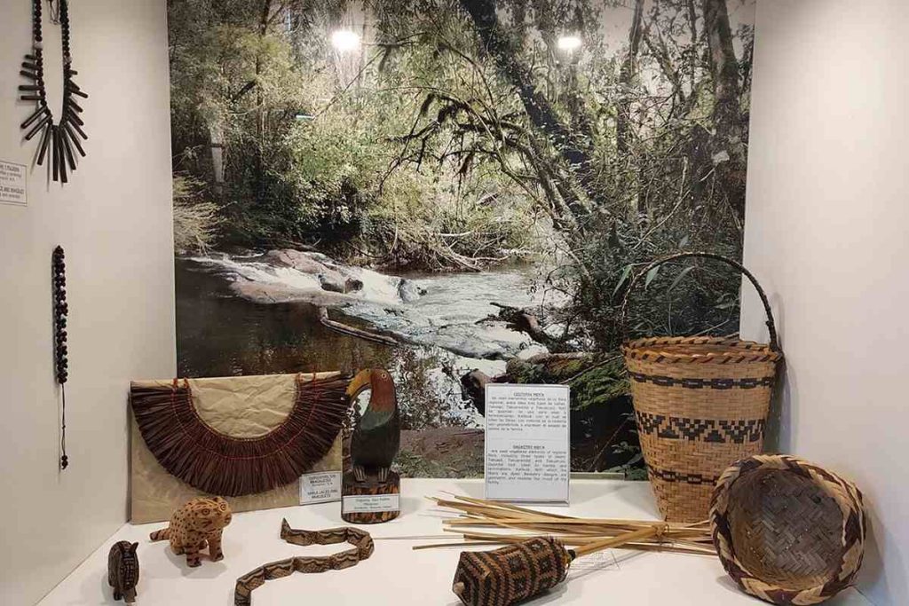 El Pueblo Mbya Guaraní cuida la selva, preserva su cultura y construye ...