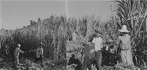 Tierra, lucha de clases y soberanía alimentaria. Debate Agroecológico ...