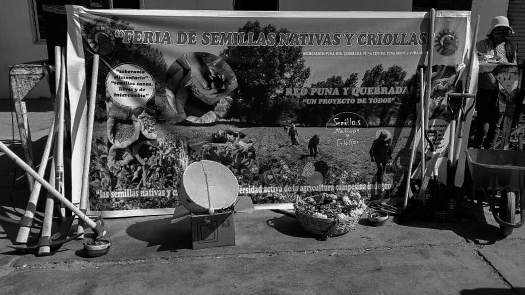 Red Puna: “Poner en el centro nuestra propia vida” | Biodiversidad en ...