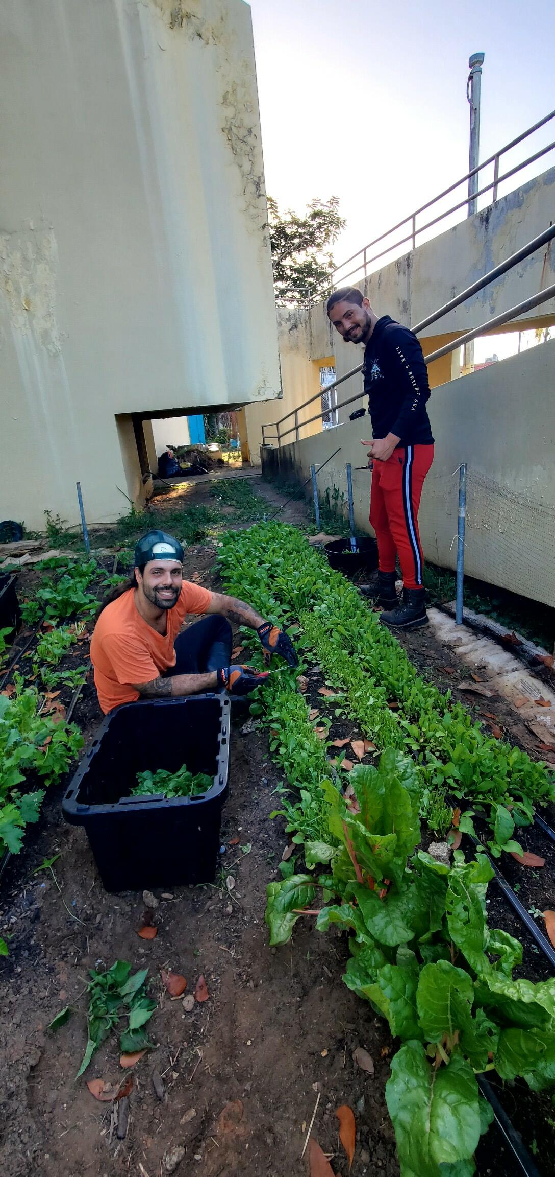 Tierra, lucha de clases y soberanía alimentaria. Debate Agroecológico ...