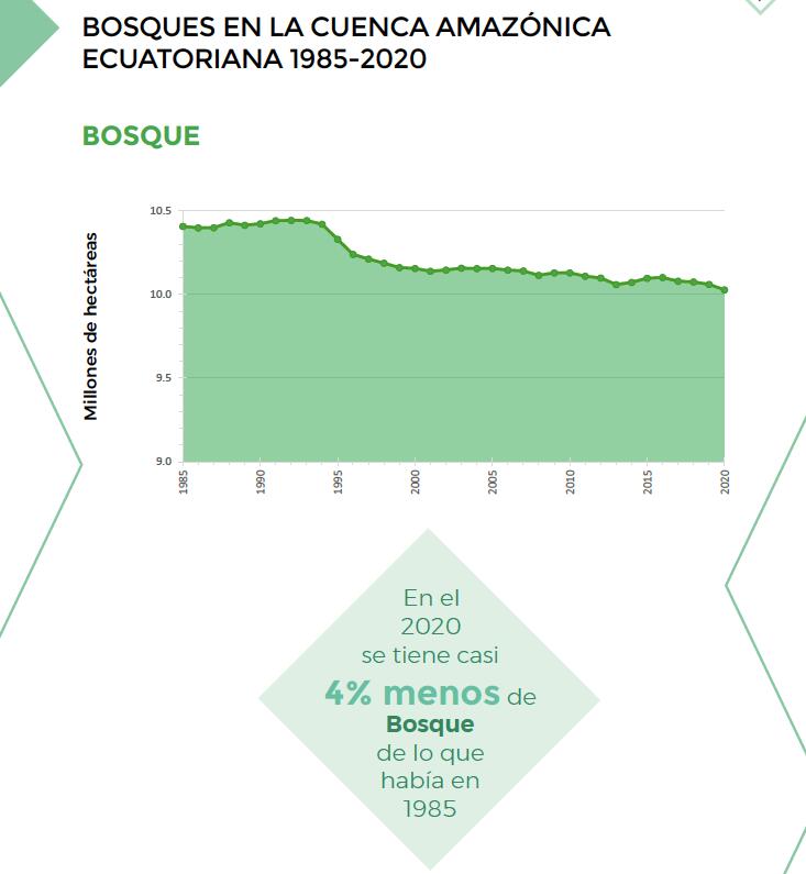 La Amazonía Ecuatoriana Ha Perdido Más De 623 Mil Hectáreas En Dos
