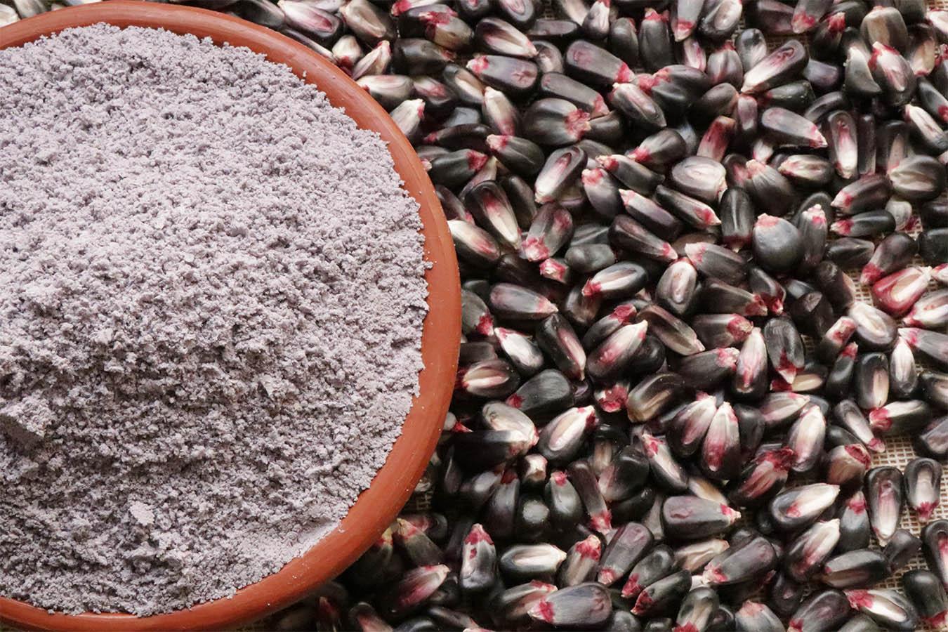 No olvidemos al pinole | Biodiversidad en América Latina