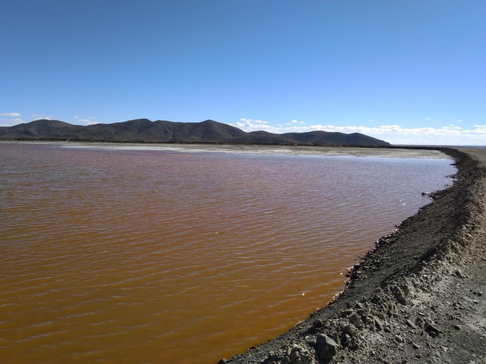 La contaminación minera devasta lo que queda del lago Poopó en Bolivia ...