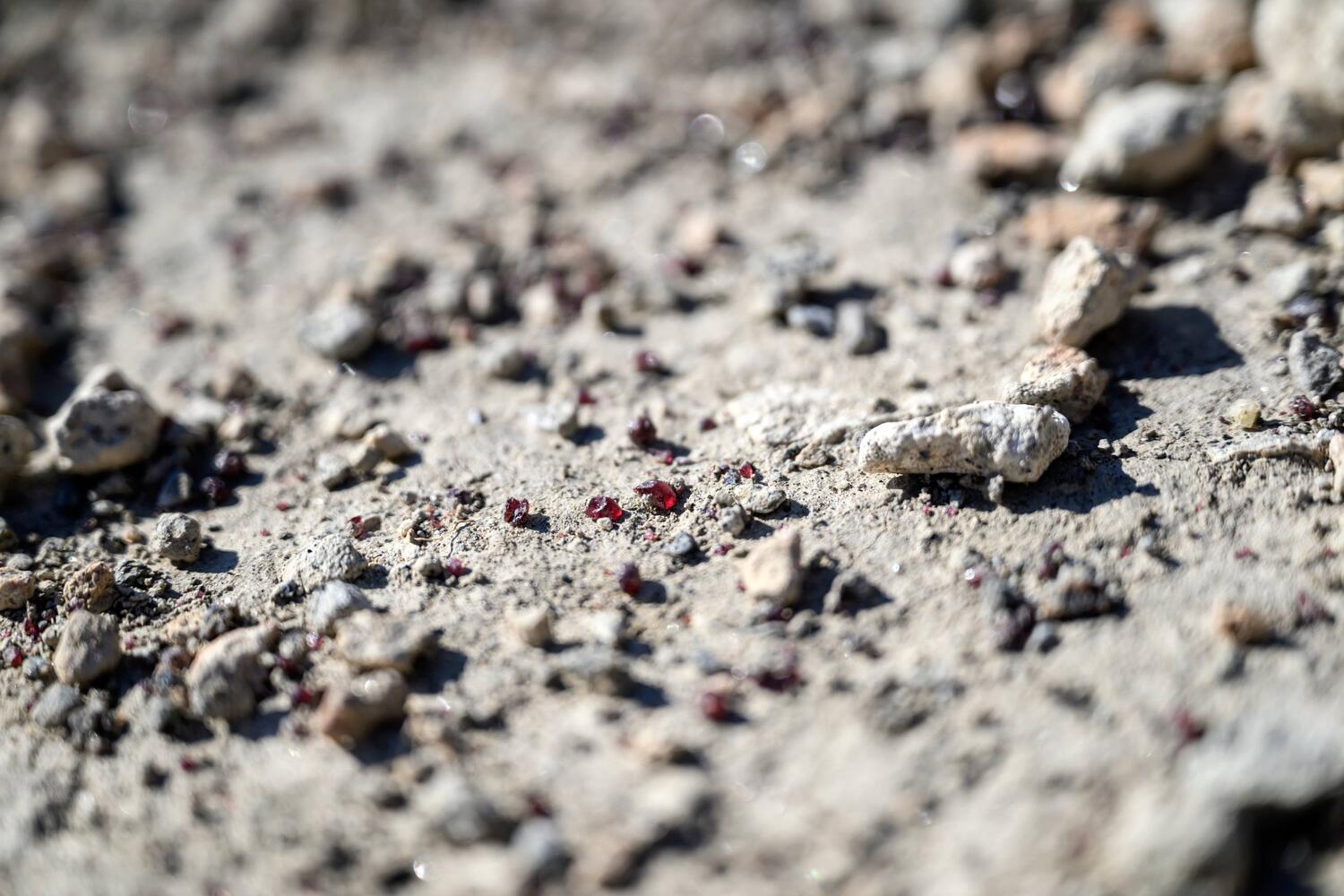 España, meca europea de la fiebre por los minerales críticos ...