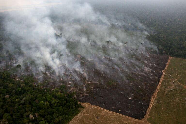 Destrucción del Amazonas: las principales amenazas para la mayor selva ...