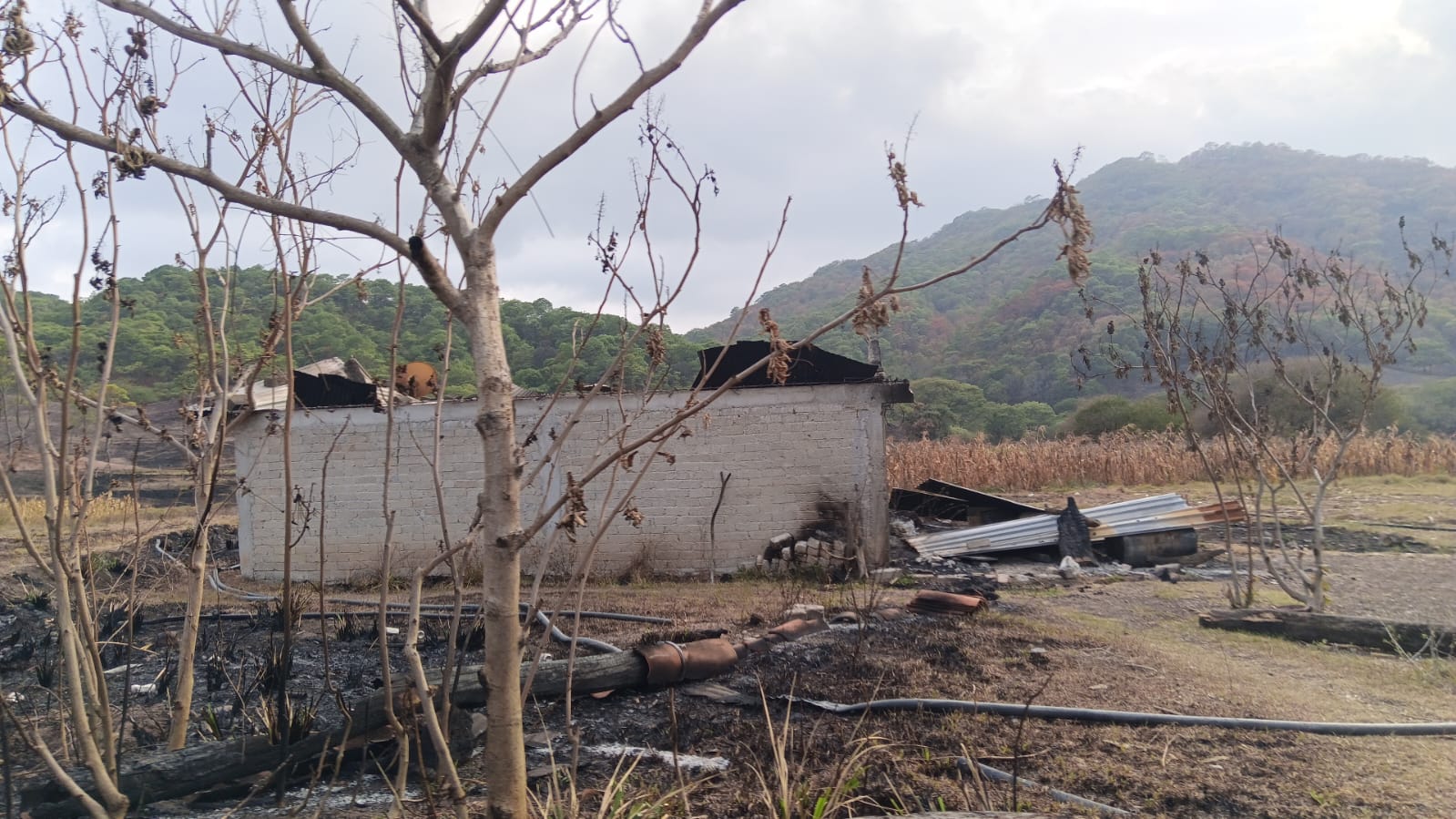Desplazamiento forzado en México: miedo a narcos y destrucción impiden ...