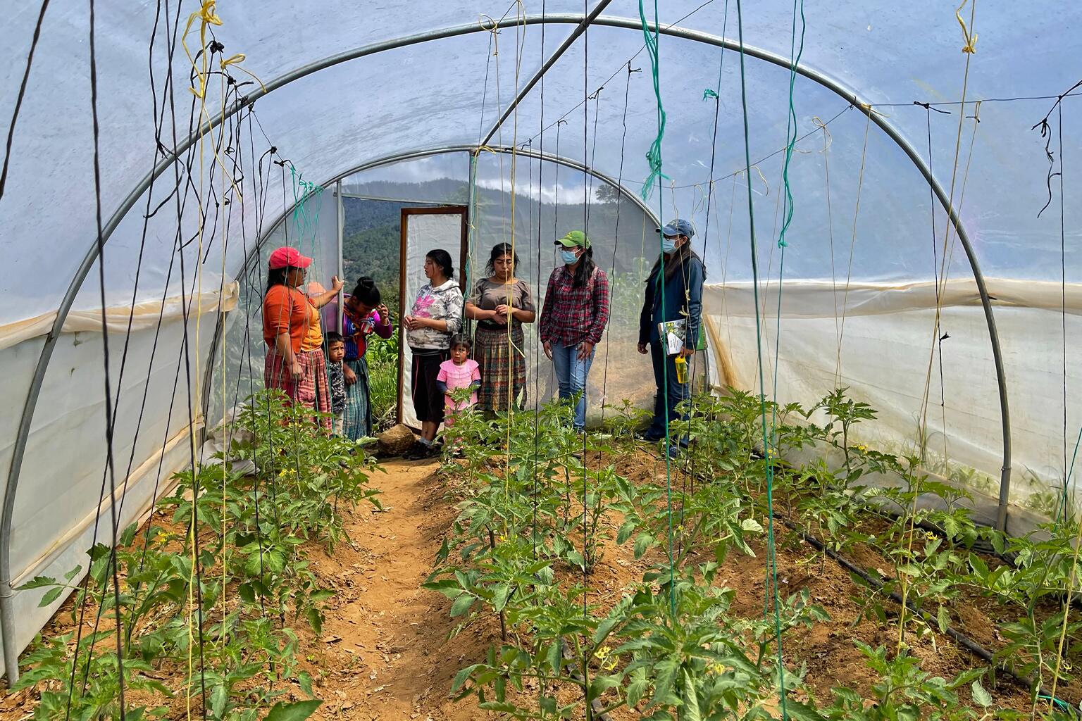 Guatemala: escuelas de agroecología ayudan a comunidades en el rescate ...