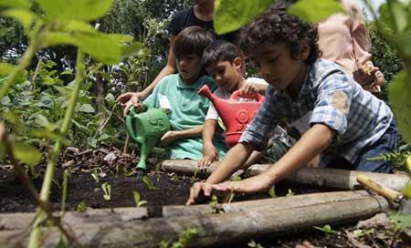 Sembrando comunidad y cosechando aprendizajes. Huertos comunitarios en ...