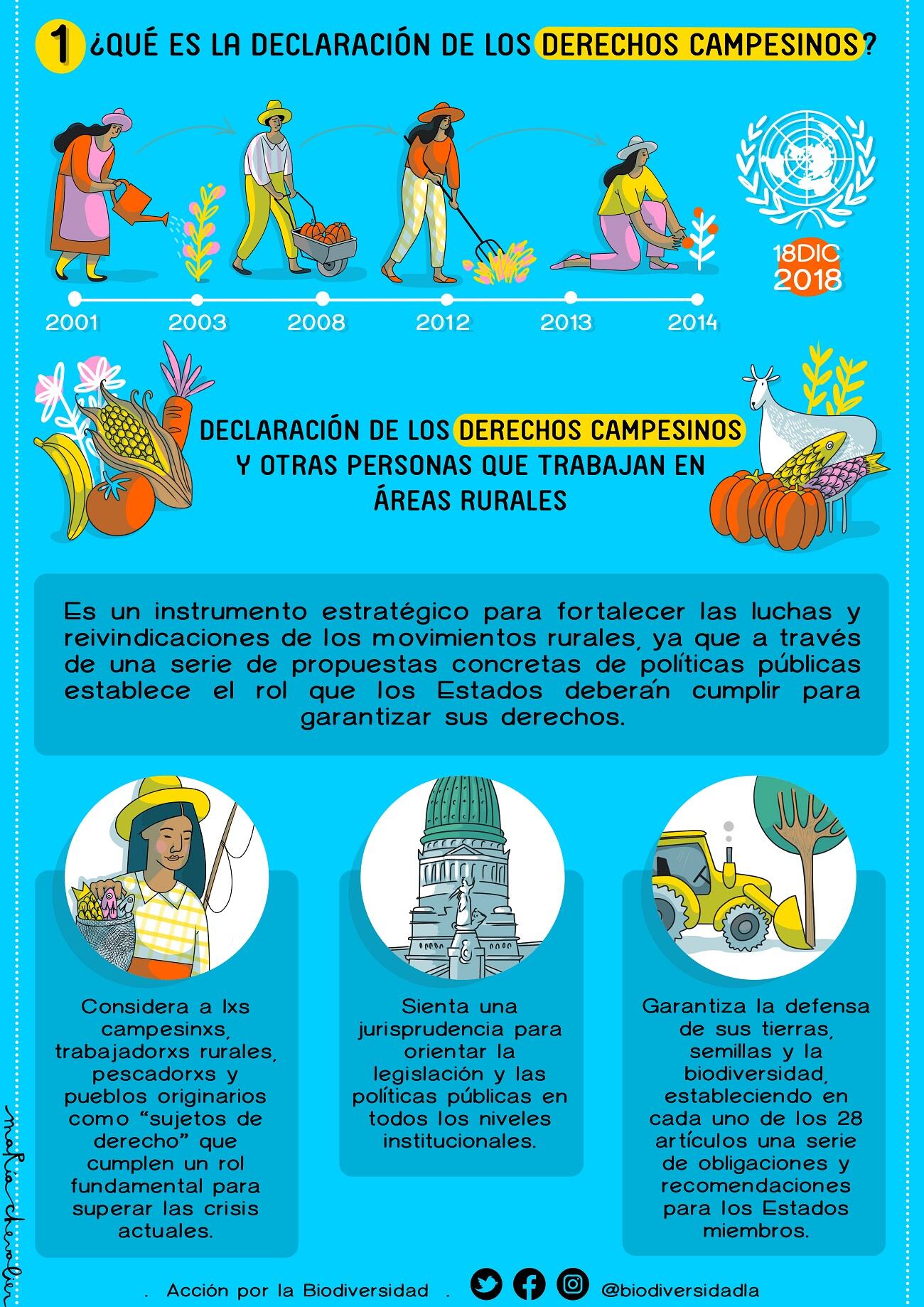 Infografía 1 | ¿Qué es la Declaración de los Derechos de los Campesinos ...