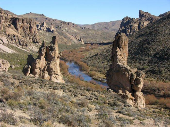 La usurpación en su Máxima expresión | Biodiversidad en América Latina