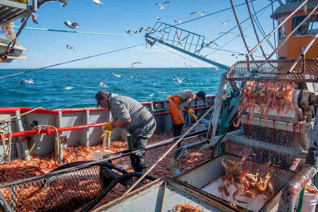 Atlanticazo: acción territorial para un mar libre de petroleras ...