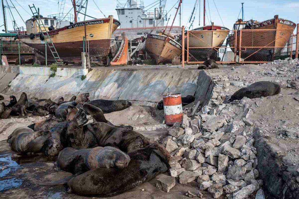 Atlanticazo: acción territorial para un mar libre de petroleras ...