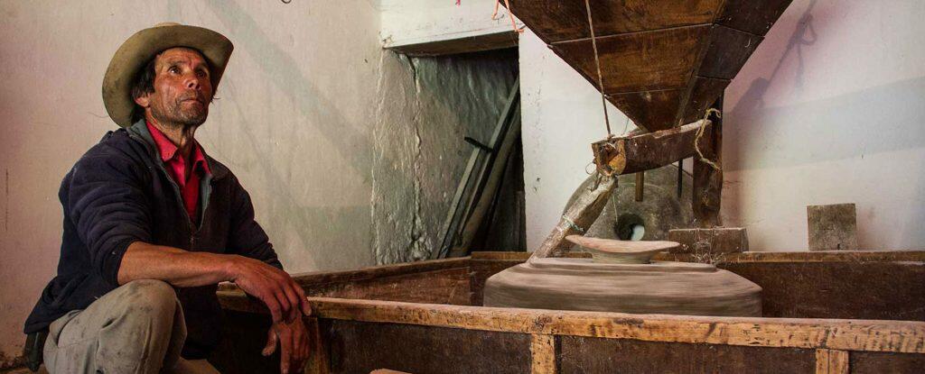 Talvina, la mamá de las masas madre venezolanas | Biodiversidad en ...