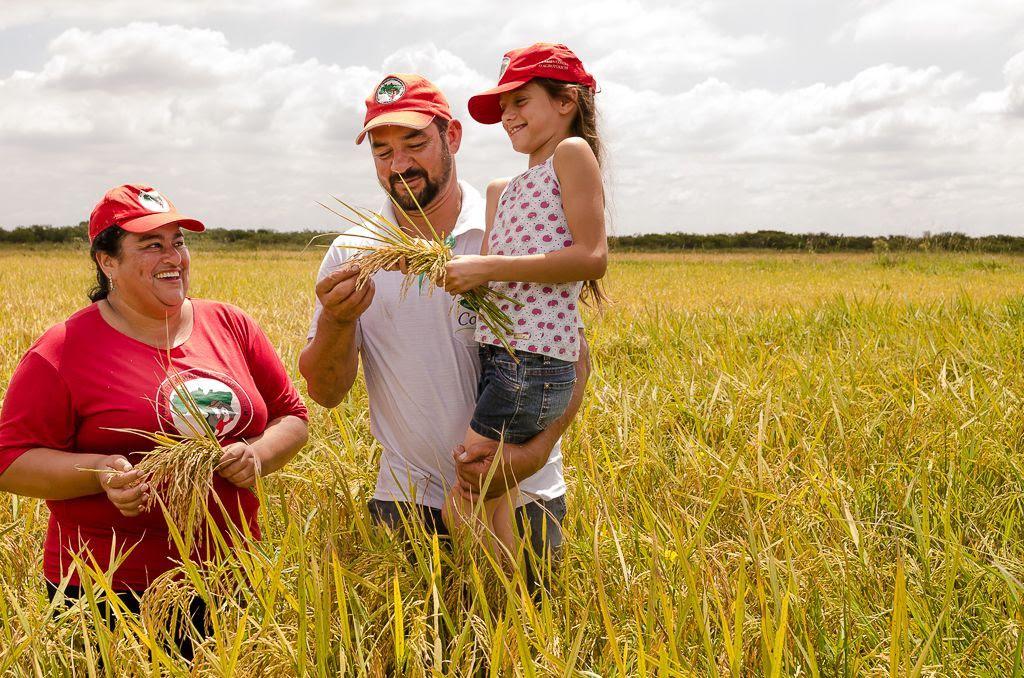 35 Coisas Que Voc Precisa Saber Sobre O MST Biodiversidad En Am rica