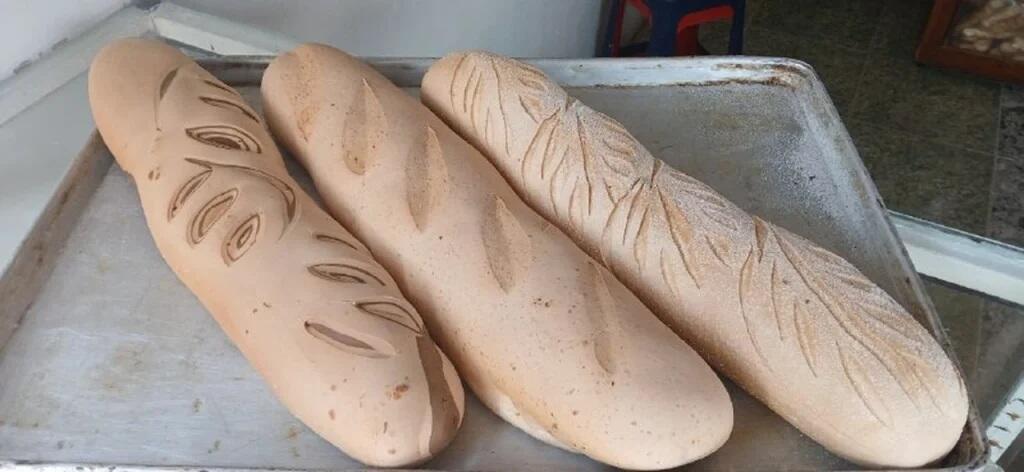 Talvina, la mamá de las masas madre venezolanas | Biodiversidad en ...