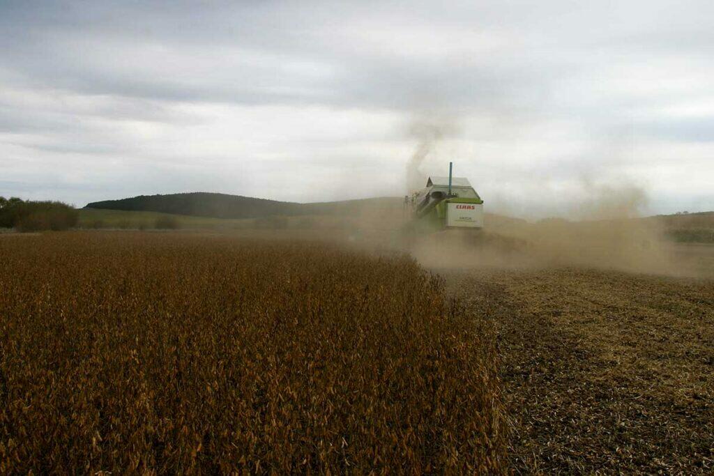 El debate ausente: segmentación de las retenciones y repoblar el campo ...