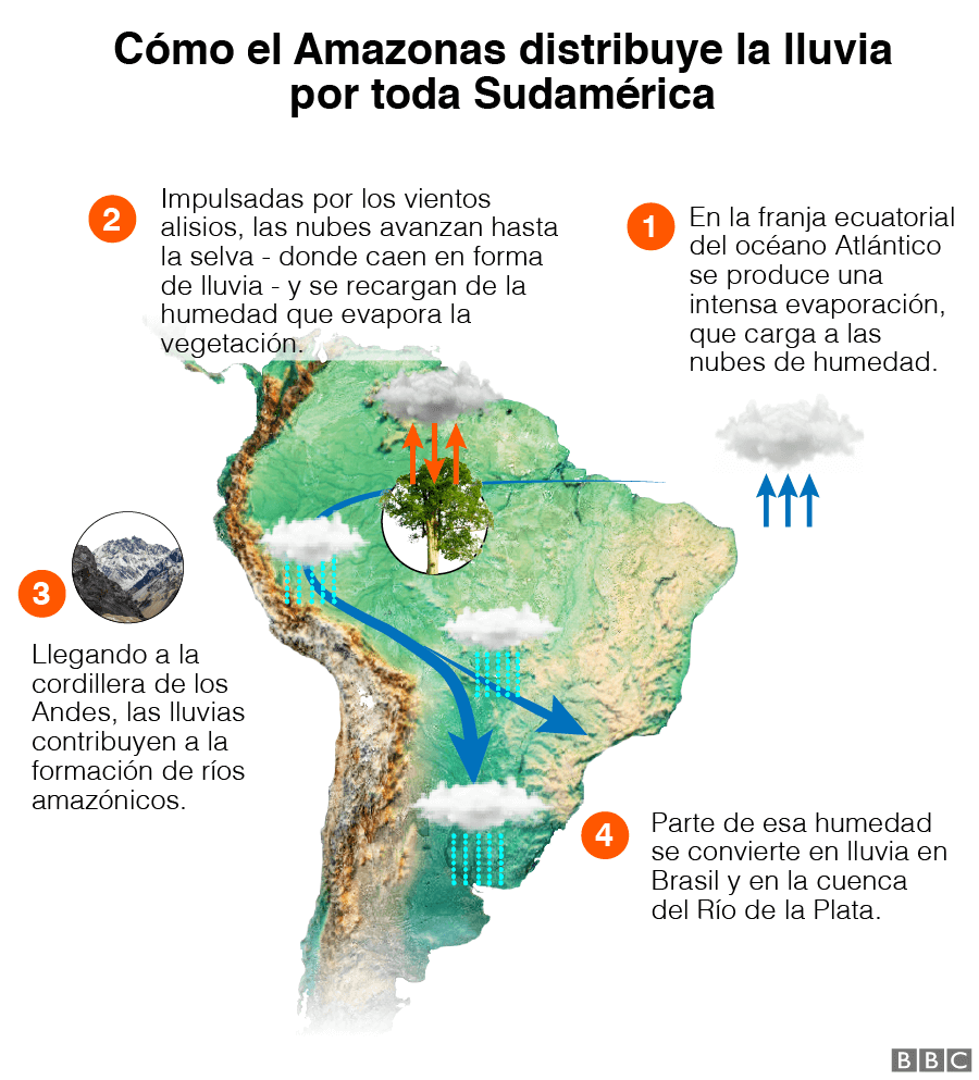 Destrucción del Amazonas: las principales amenazas para la mayor selva ...