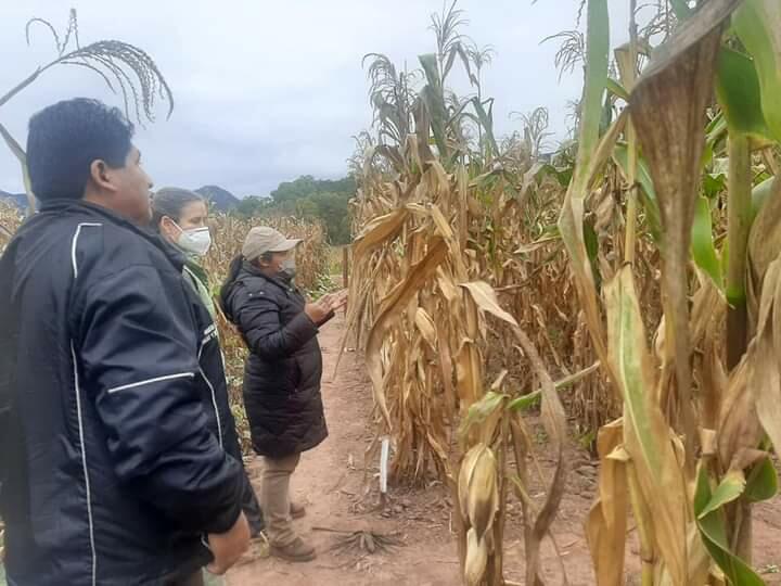 Bolivia 105 Municipios De Siete Departamentos Se Han Declarado En