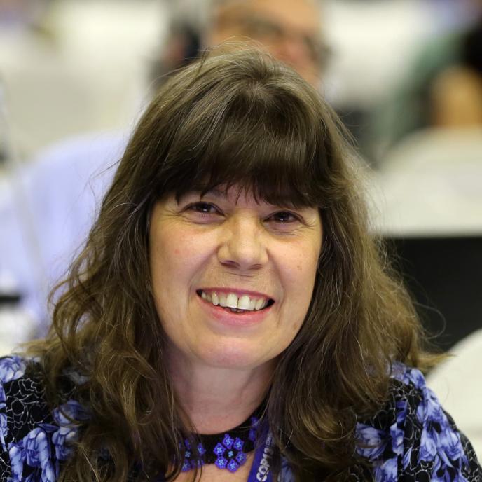 Silvia Ribeiro: “Es como si hubiera dos mundos: por un lado los ...