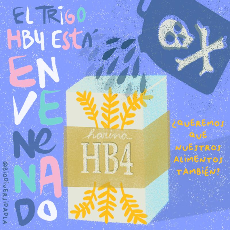 Trigo HB4: nuevo transgénico, nuevo veneno | Biodiversidad en América ...