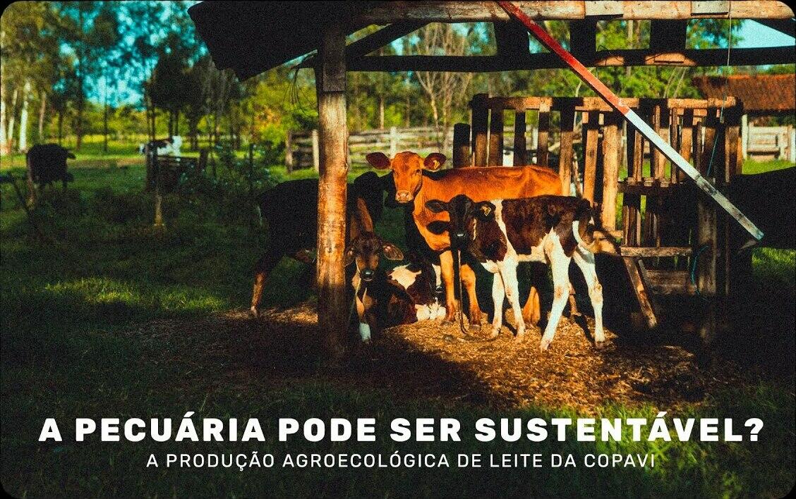 A pecuária pode ser sustentável? A produção agroecológica de leite de ...