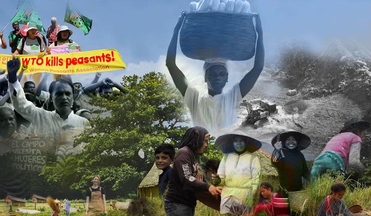 Amanecer Campesino | Biodiversidad en América Latina