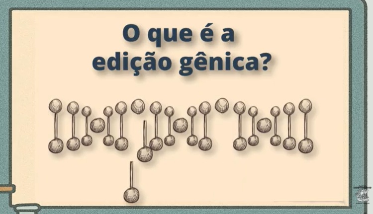 Edição genética e organismos transgênicos: a mesma coisa, mas com mais ...