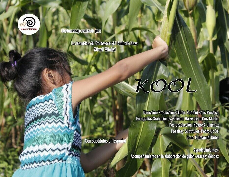 KOOL - Asamblea Maya Múuch’ Xíimbal | Biodiversidad en América Latina