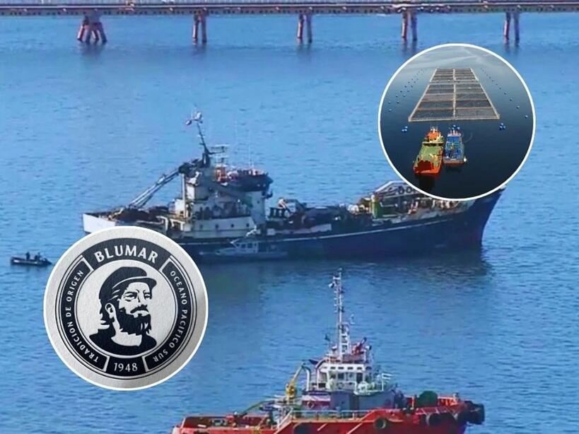 Del fondo del mar al poder político: El imperio de Blumar tras el ...