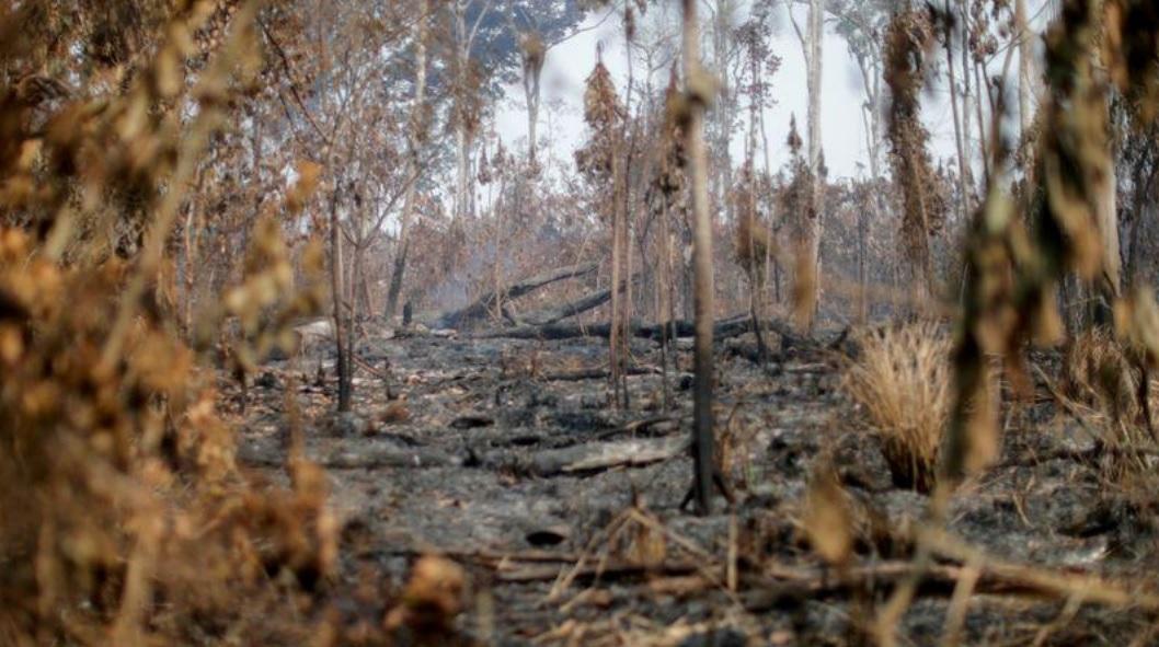 Indígenas de Amazonía demandan al minorista Casino por la destrucción ...