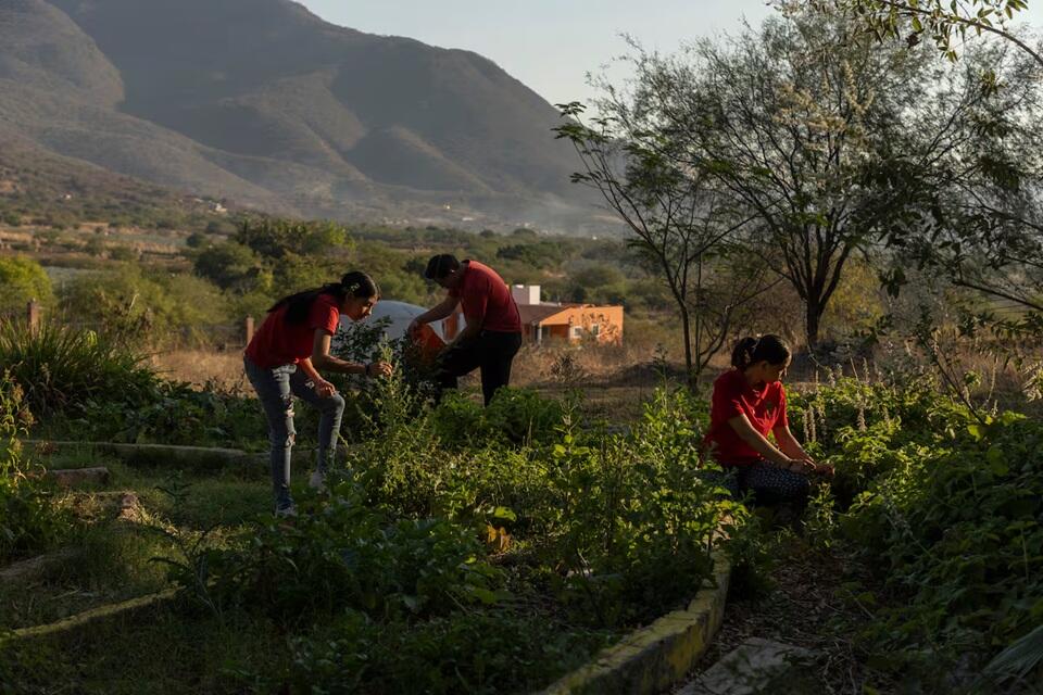 Los niños que aprenden a cultivar la tierra en el primer municipio ...