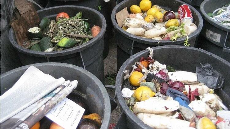 Se Desperdician Casi 1 000 Millones De Toneladas De Alimentos Al Año