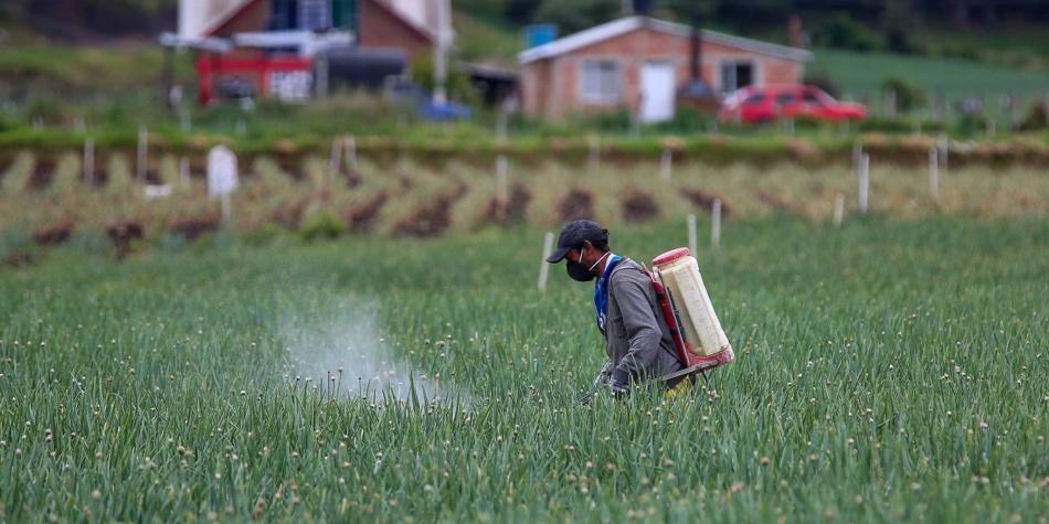Un tercio de las tierras de uso agrícola en alto riesgo por pesticidas ...