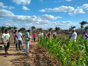 Brasil: Camponeses do MPA recebem delegação de 9 países para ...