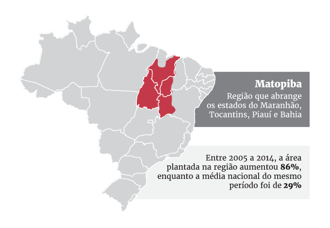 Brasil: Cerrado perde metade da vegetação nativa; agronegócio acelera o ...