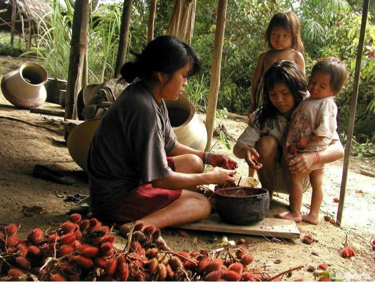 Ecuador: SOS pueblo shuar, los hijos de las cascadas sagradas ...