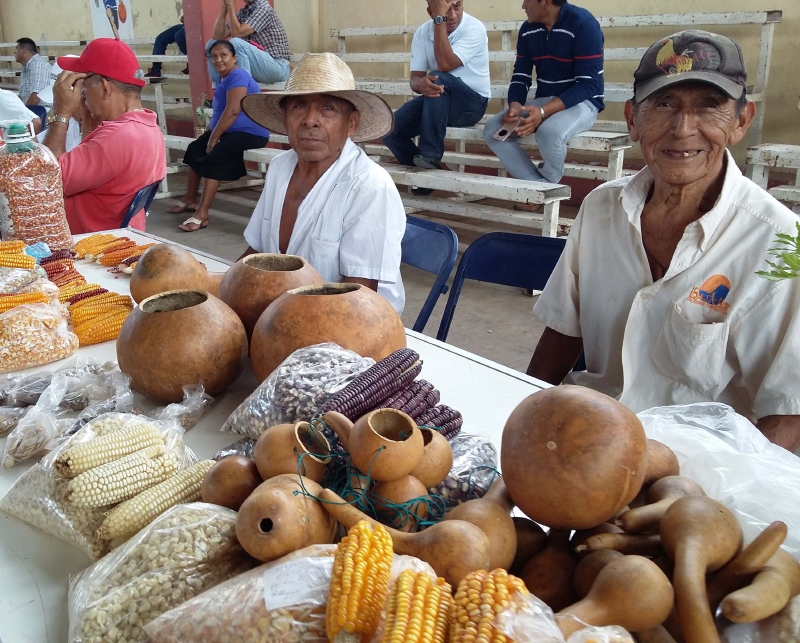 México: Impulso a las semillas | Biodiversidad en América Latina