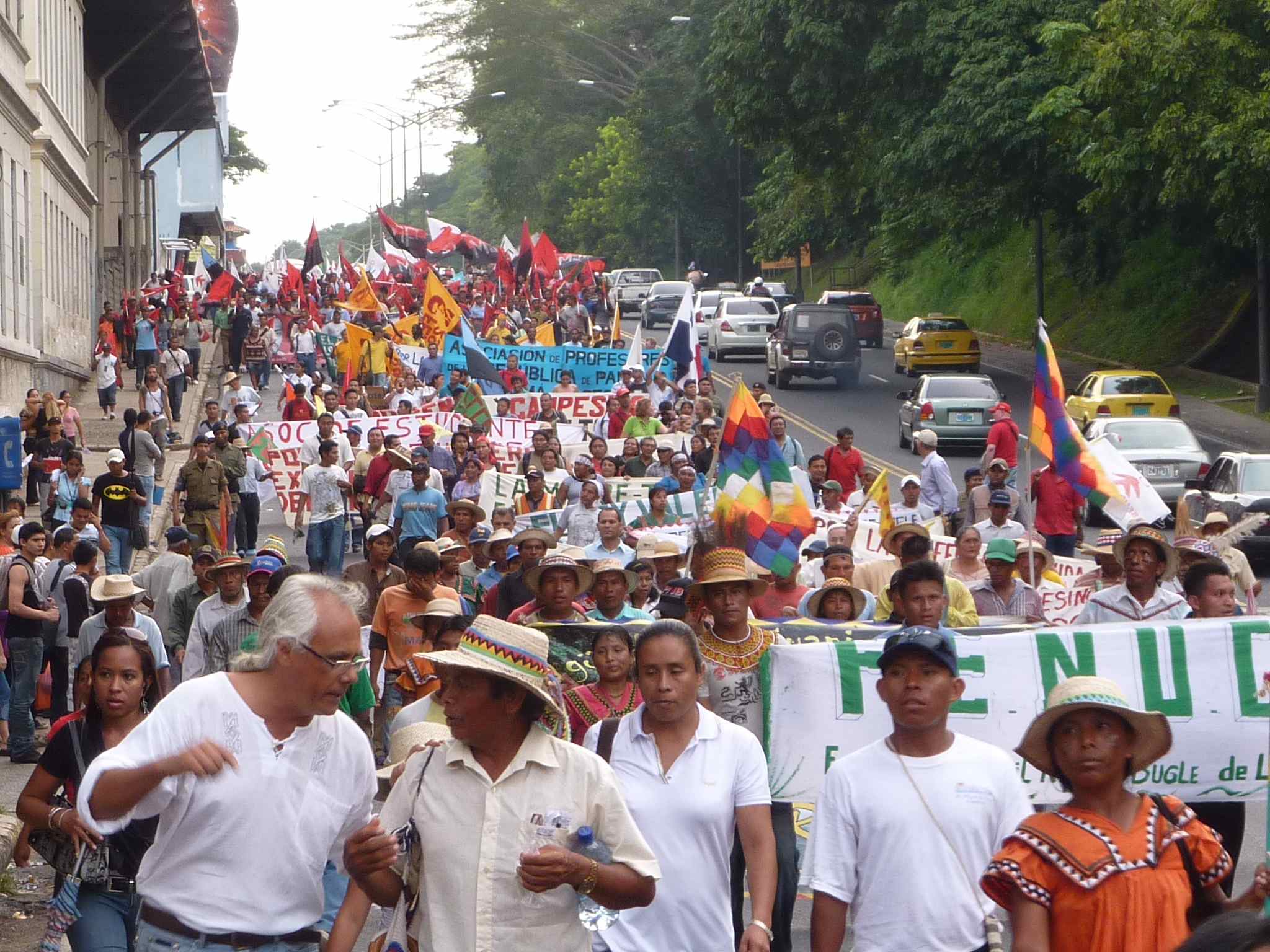 Biodiversidad en América Latina | La Movilización Nacional Indígena ...